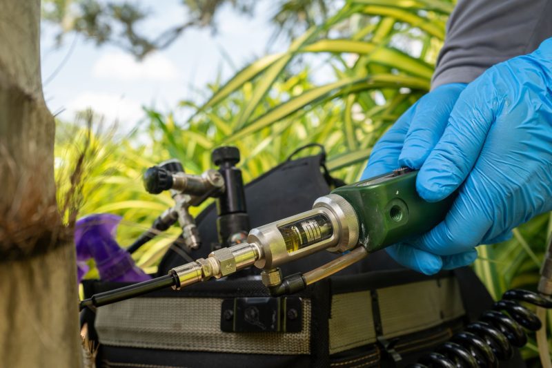 Tree & Trunk Injections | Sarasota, Osprey, and Bradenton, FL ...