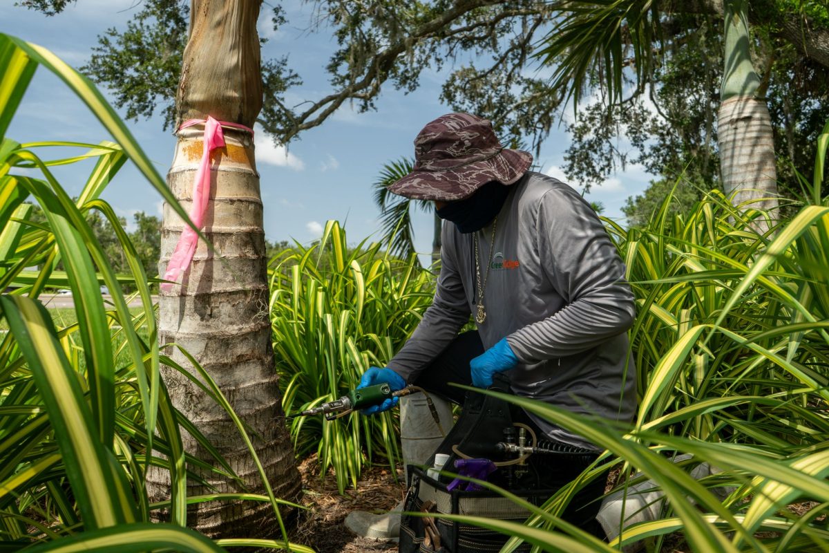 Advancing Tree Care in 2024 with Arborjet Tree Injection Technology in ...